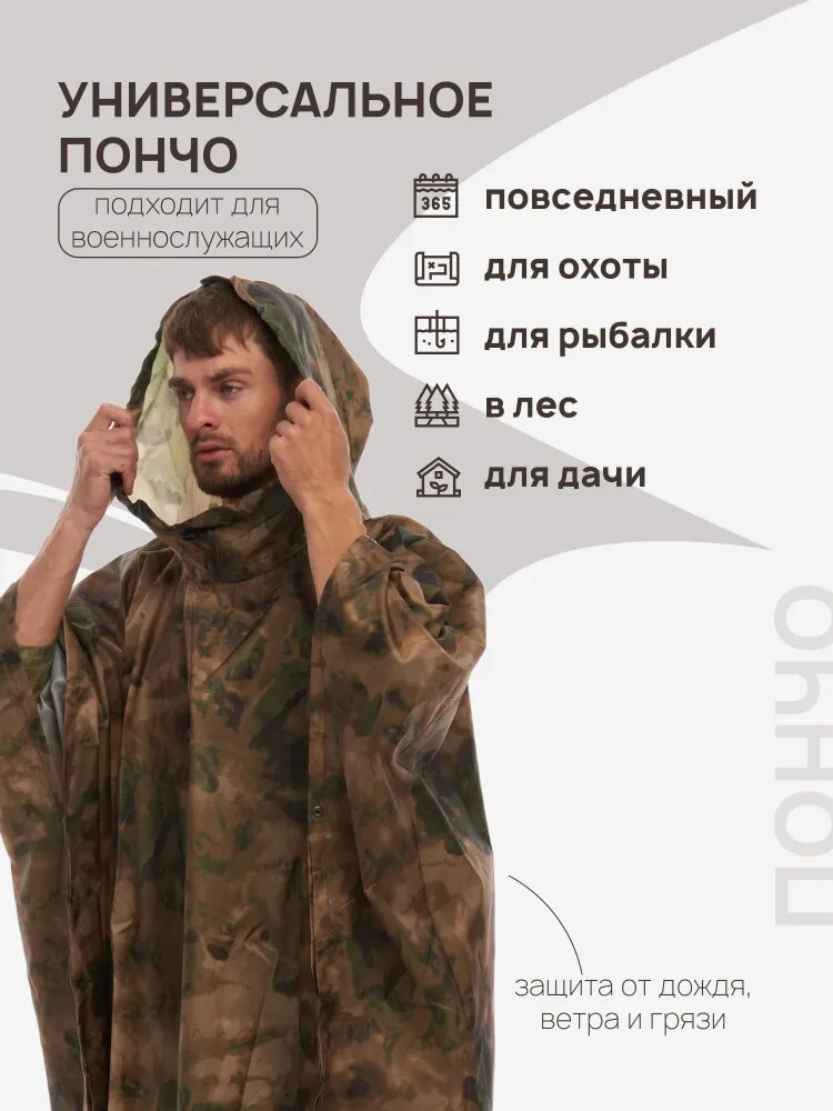 Дождевик эгистактик — фото 1