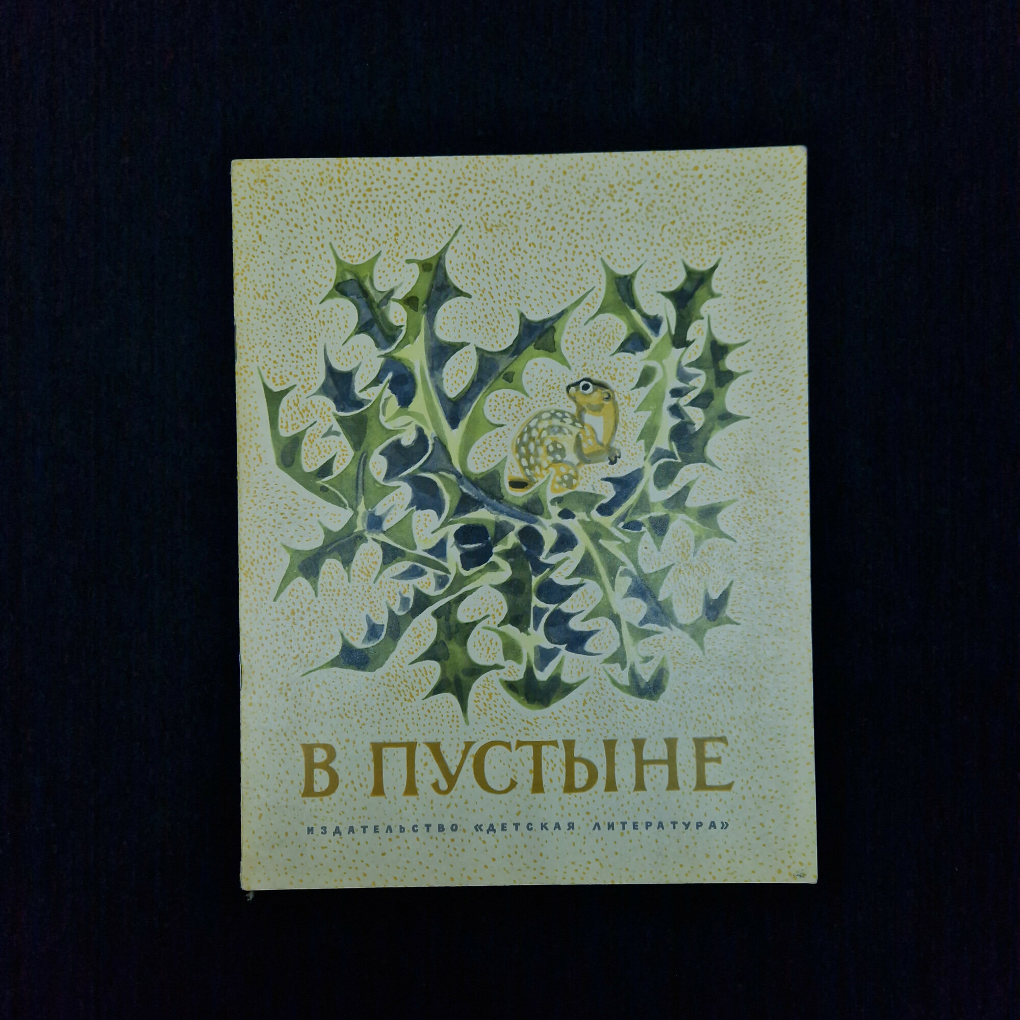 Геннадий Снегирёв. В пустыне. Книга СССР, детская литература