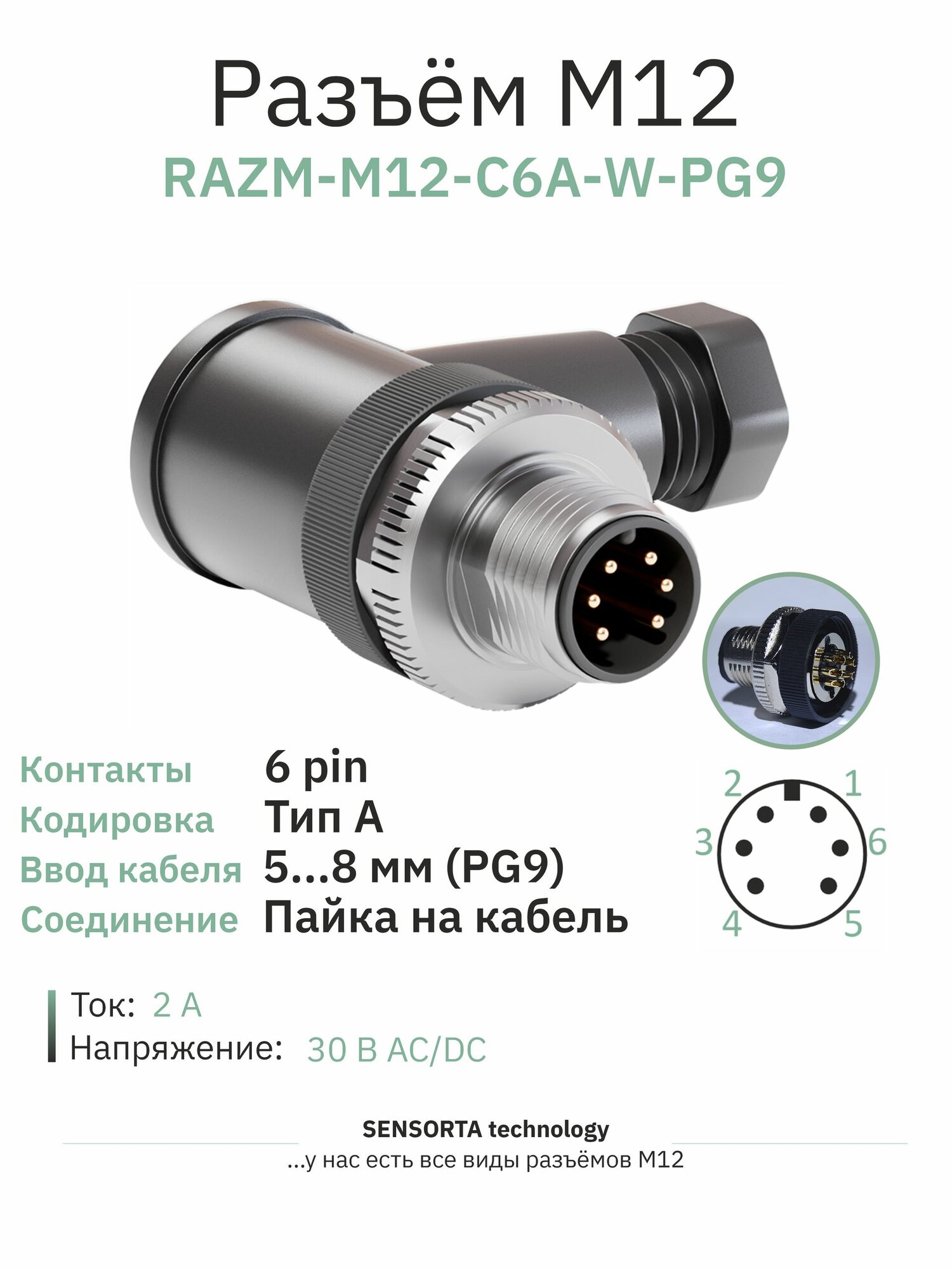 RAZM-M12-C6A-W-PG9 разъём М12 6 pin угловой / вилка (папа) / PG9 (5-8 мм диаметр под кабель)