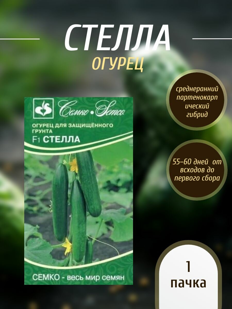 Огурец Стелла F1, 5 семян