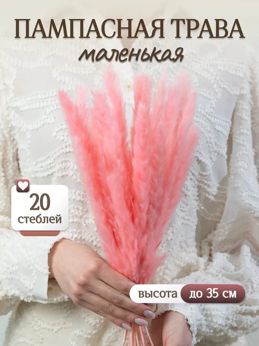 Пампасная трава мини 20 шт сухоцветы для декора
