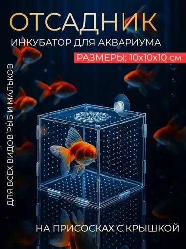 Отсадник для рыб инкубатор для мальков в аквариум 10х10х10 см