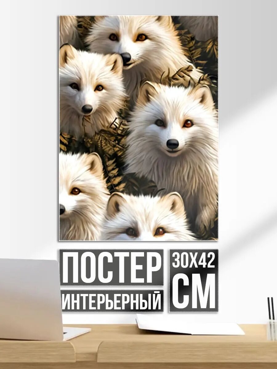 Постер на стену Песцы