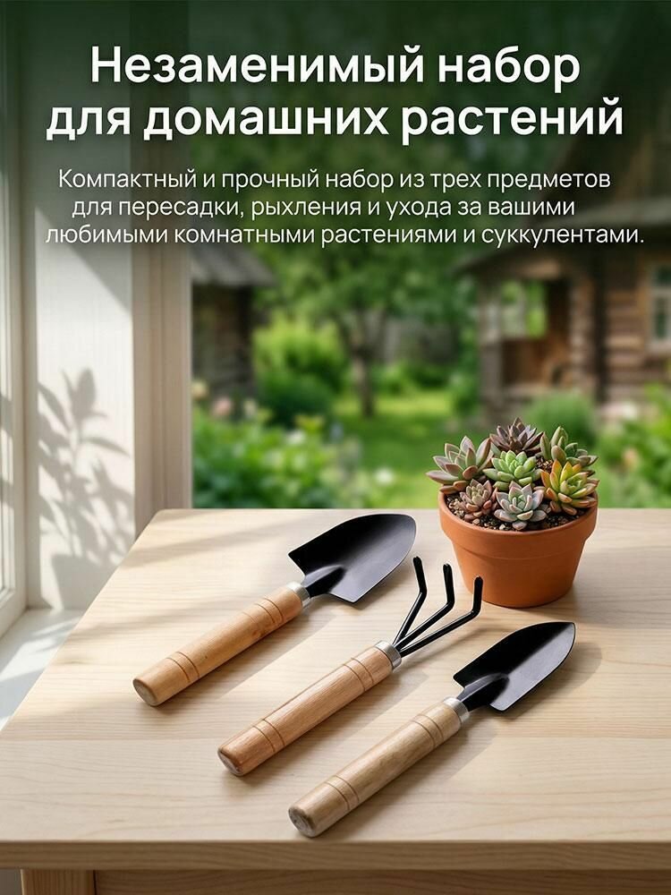 Набор садовых инструментов 3 предмета, совок для цветов и рассады, ручной инструмент для рыхления почвы, набор для бонсай и комнатных растений