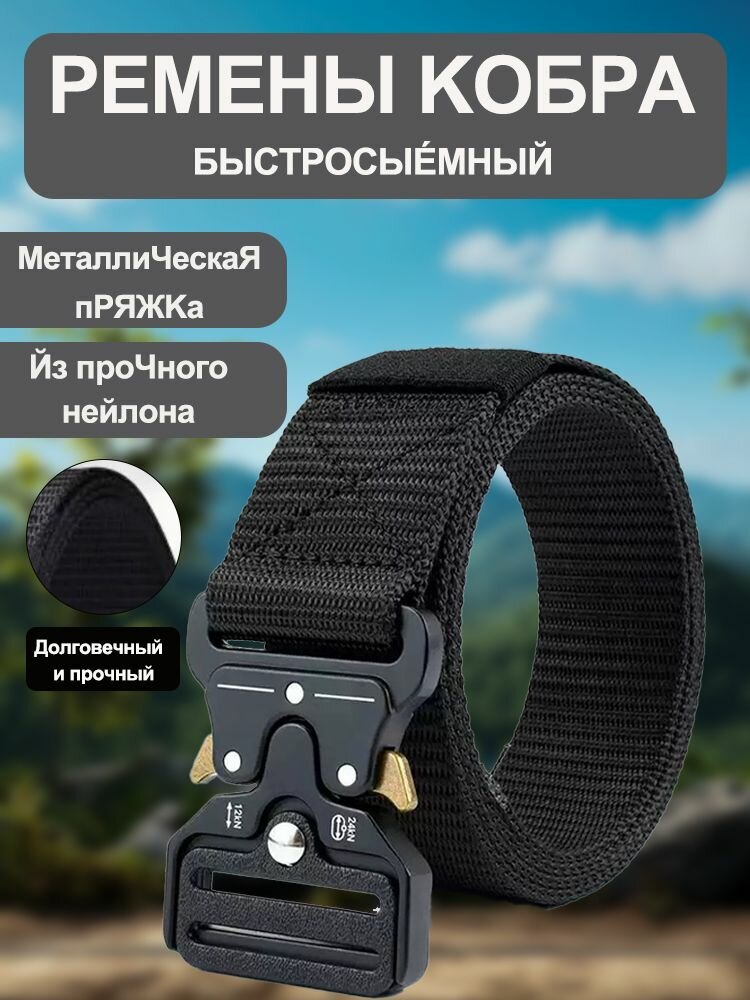 Belt