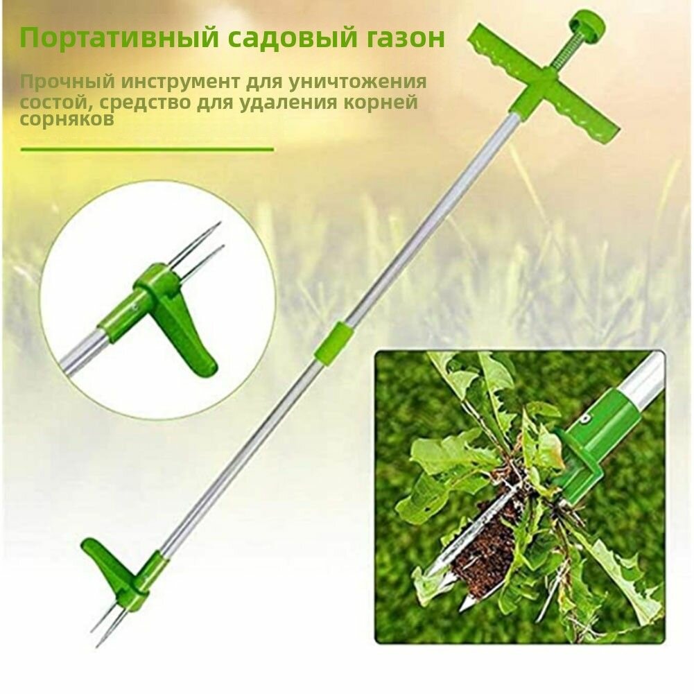 Полольник