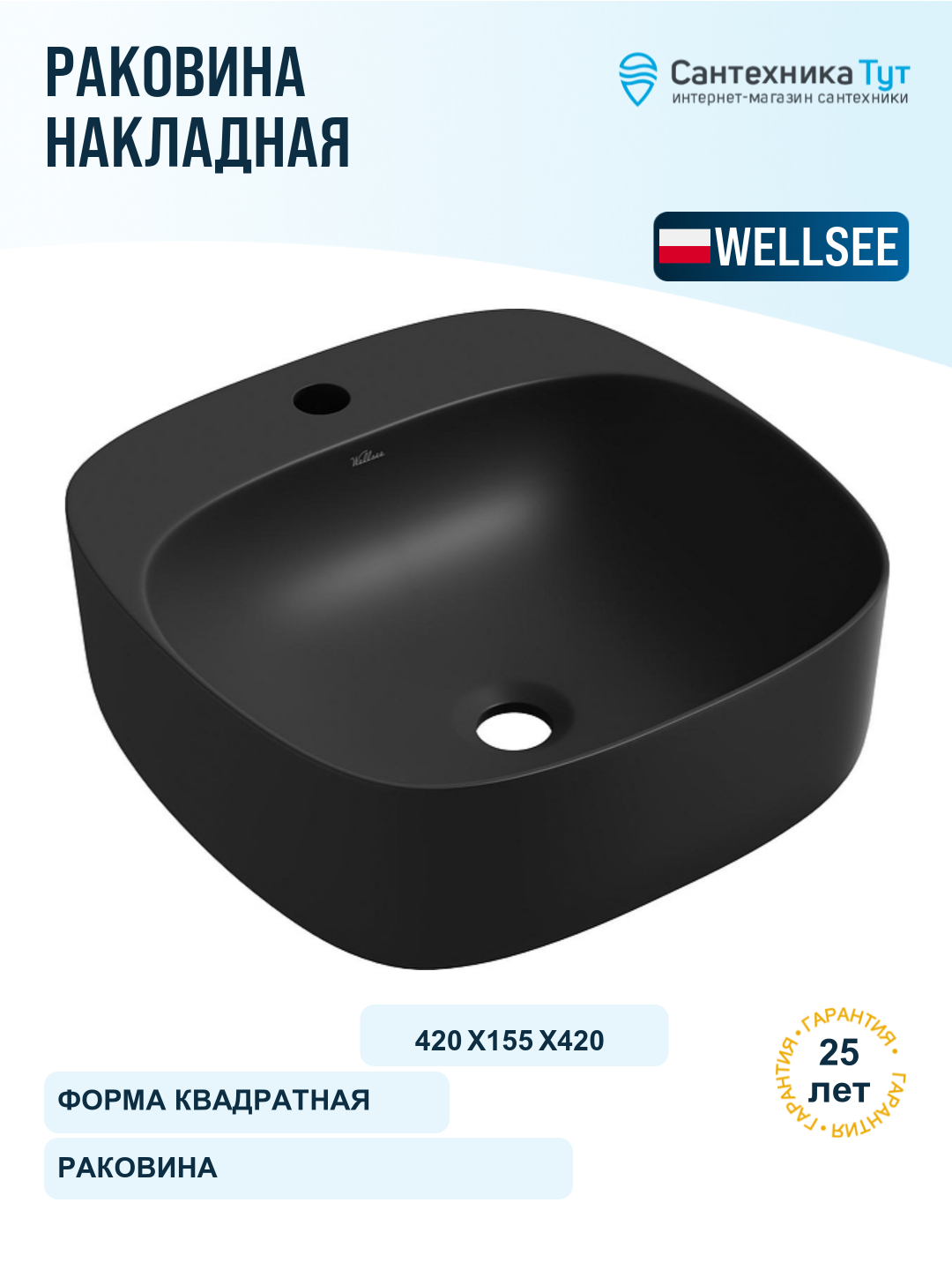 Раковина Wellsee Idéal 42 326904000 цвет Черный матовый