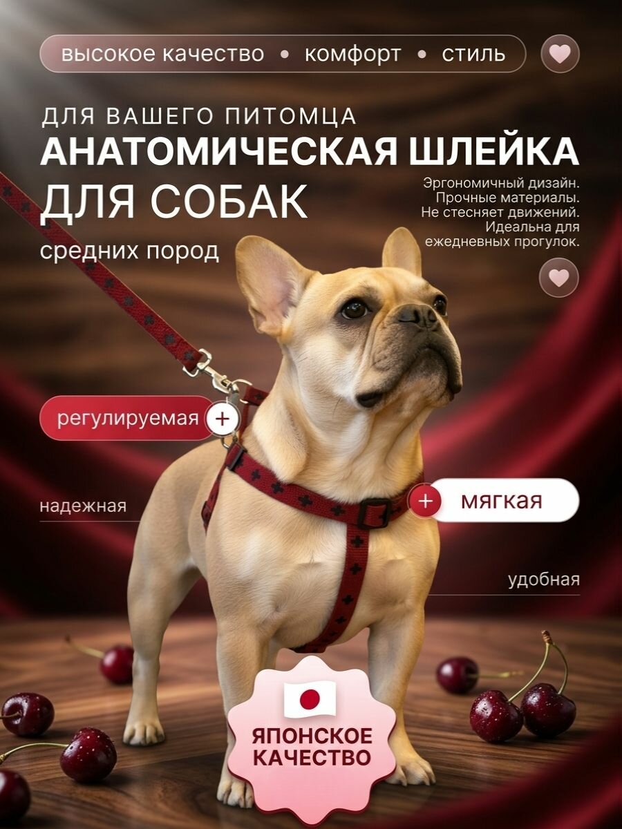 Анатомическая шлейка для собак Japan Premium Pet с силиконовым креплением, размер M