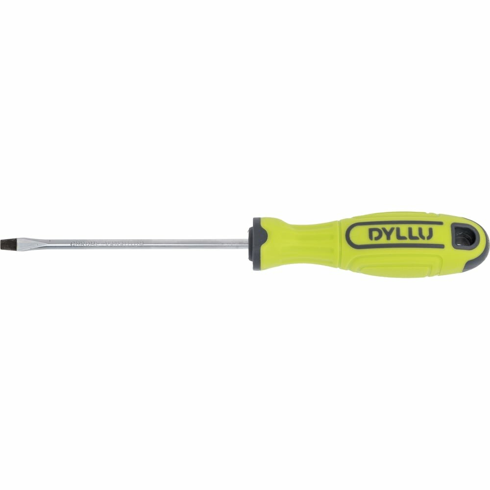 Плоская отвертка DYLLU SL4x100мм DTSD1244