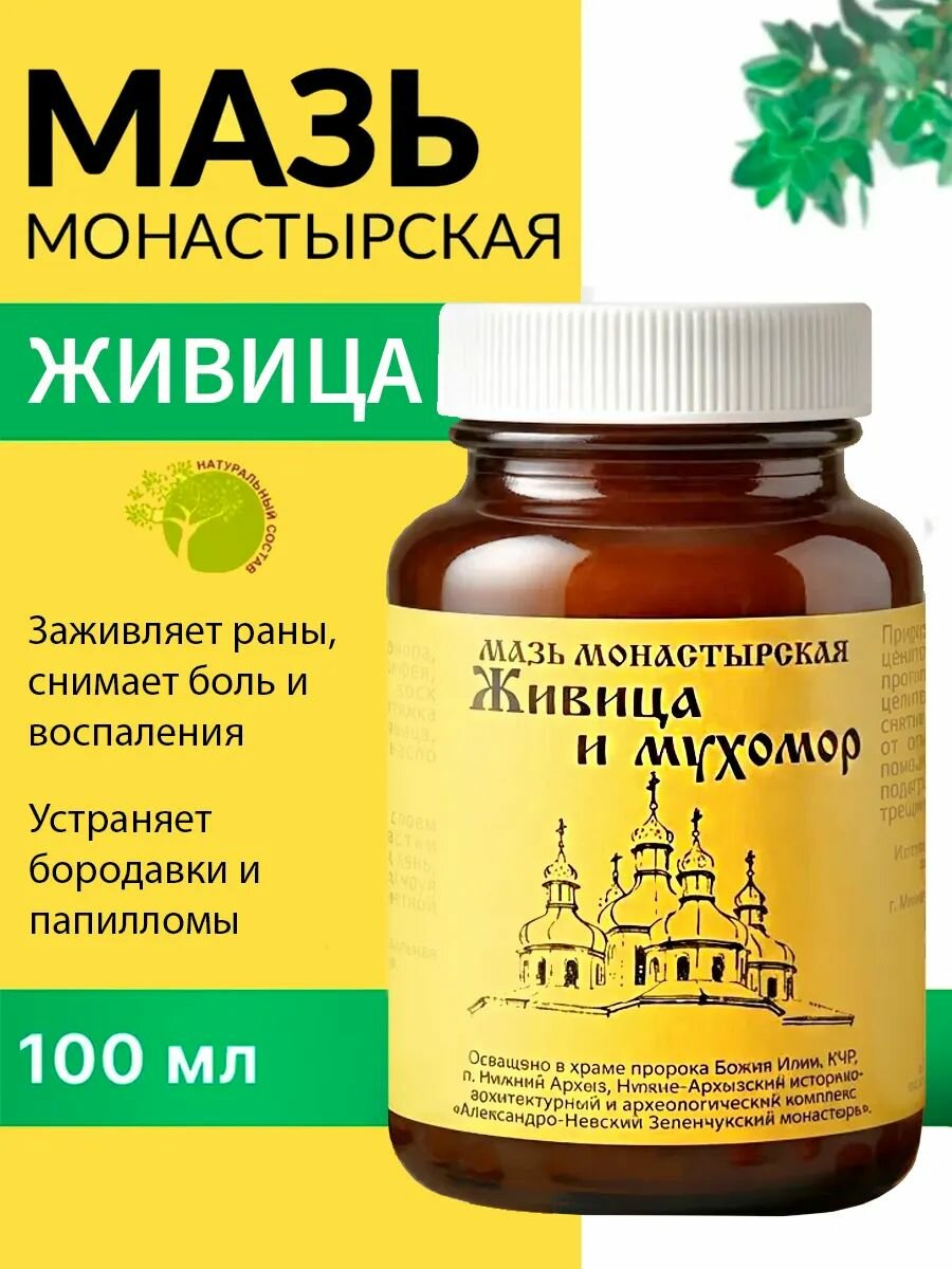 Мазь Монастырская при радикулите и боли в суставах 100 мл