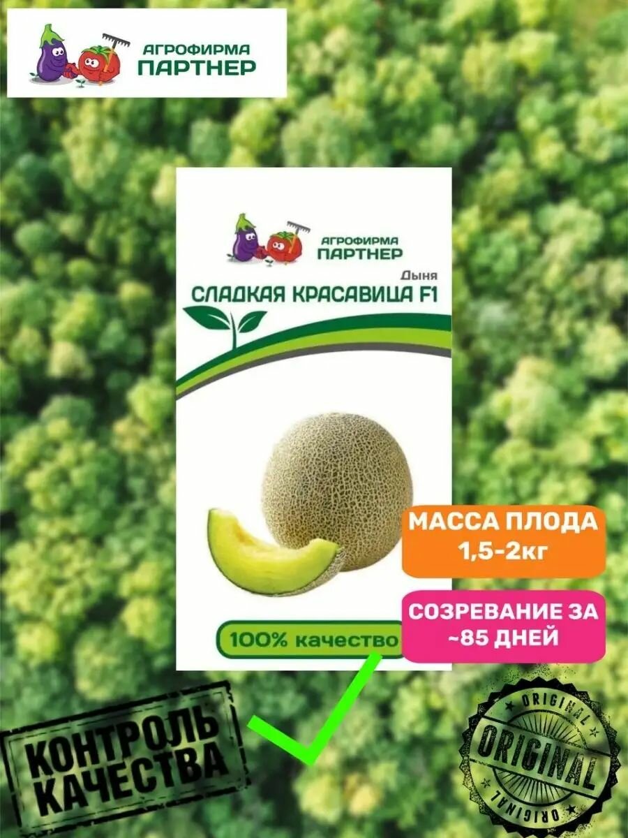 Дыня сладкая красавица F1, (5шт) 2-ной пак