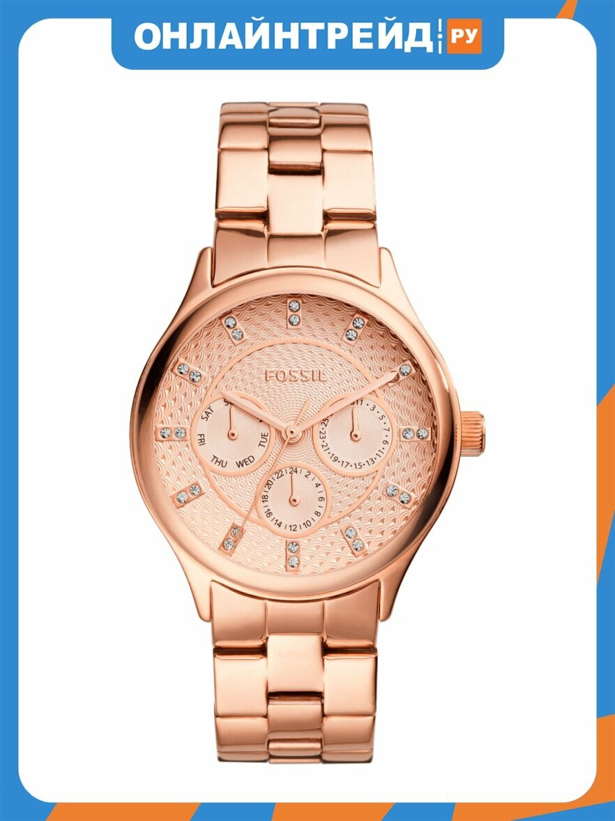  FOSSIL Modern Sophisticate