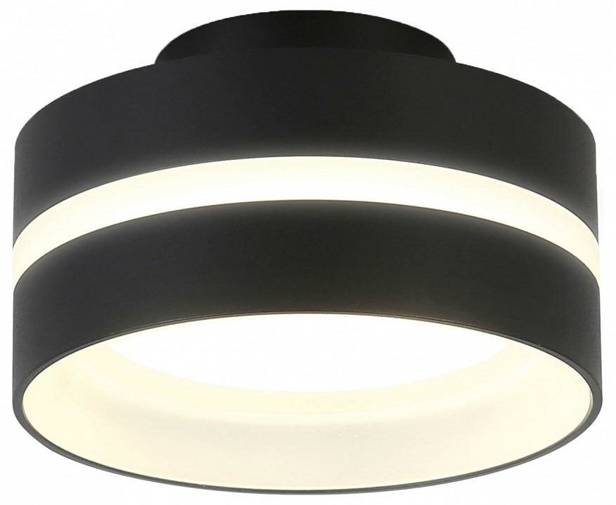 Накладной светильник Ambrella Light TN TN5421 цвет плафона подвески Черный, цвет арматуры Черный