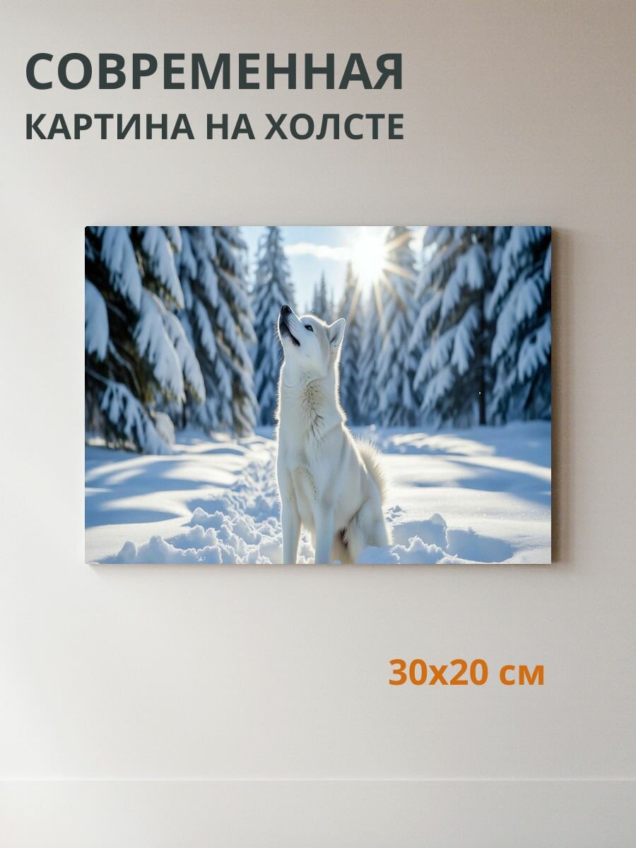 Картина на холсте Хаски 30x20 см