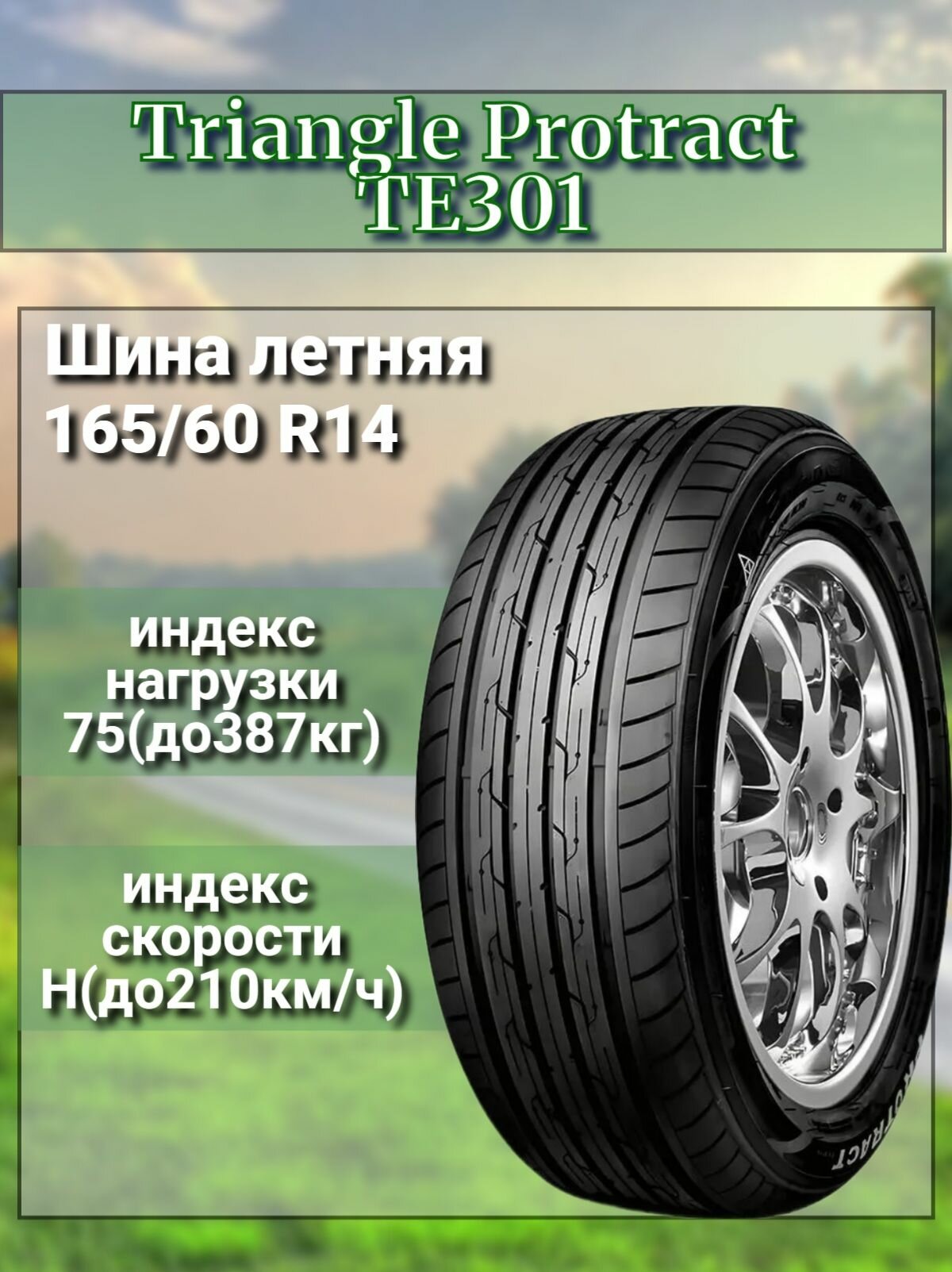 Шина легковая летняя Triangle Protract TE301 165/60 R14 75H