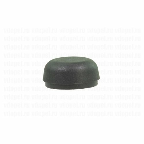 Колпачок рычага стеклоочистителя General Motors 13262446
