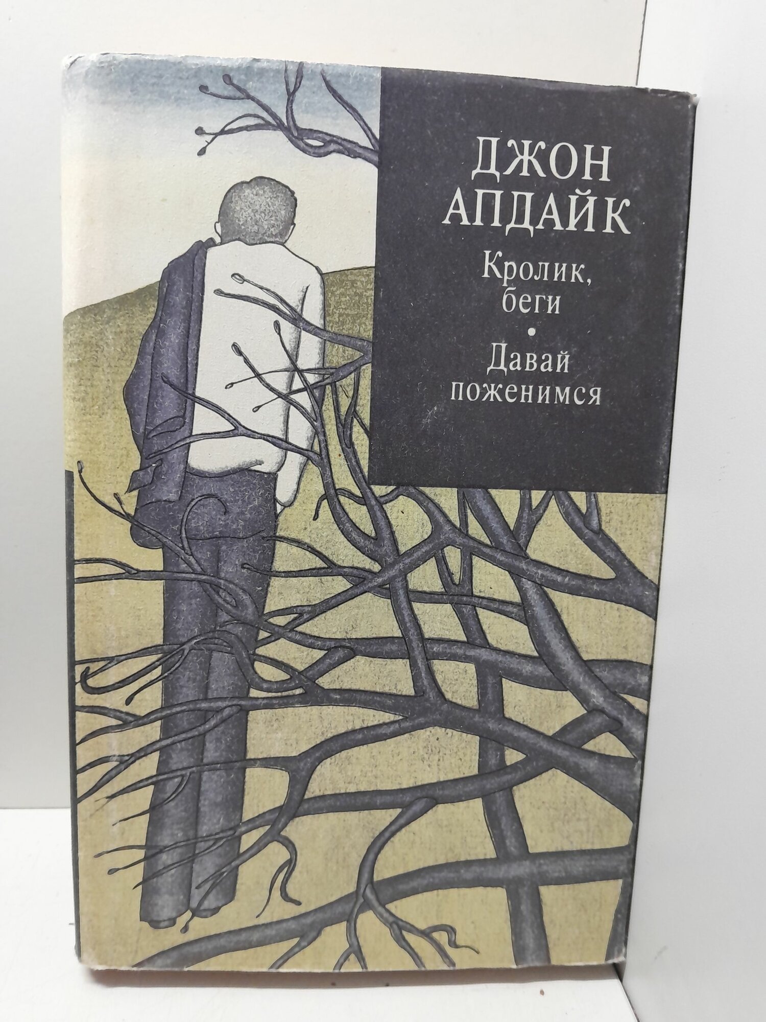 Кролик, беги. Давай поженимся / Джон Апдайк