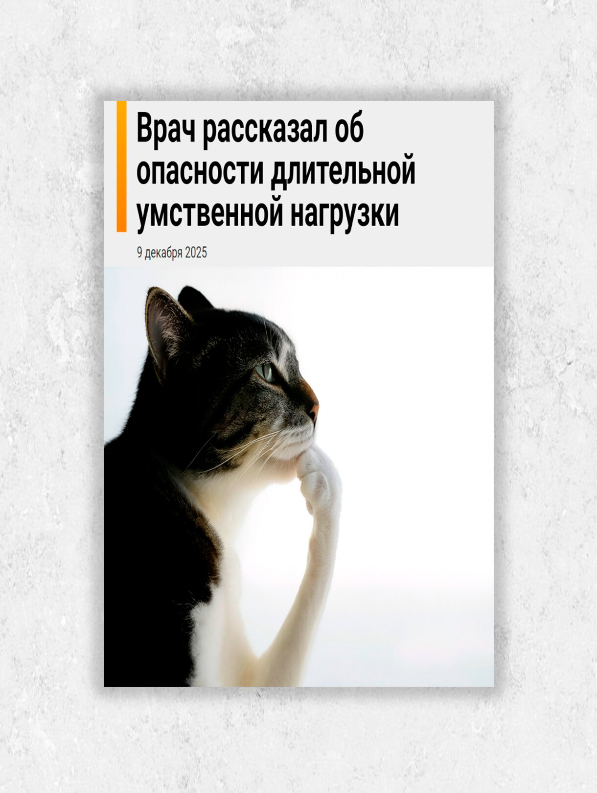 Плакат-мем "Кот думает"