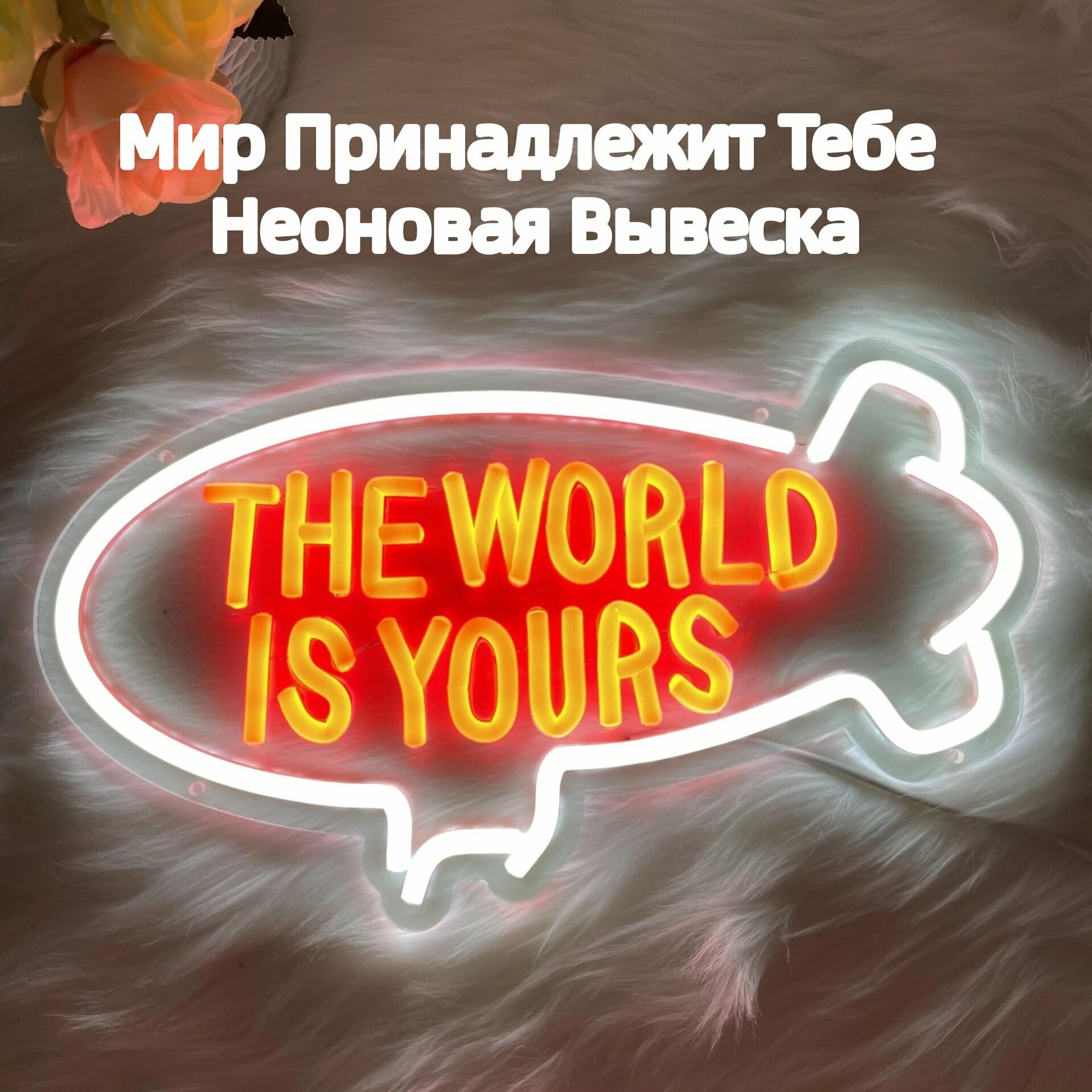 Неоновая Вывеска The World Is Yours С Регулируемой Яркостью USB-подсветки Для Декора Спальни И Детской Комнаты 42cmx20cm