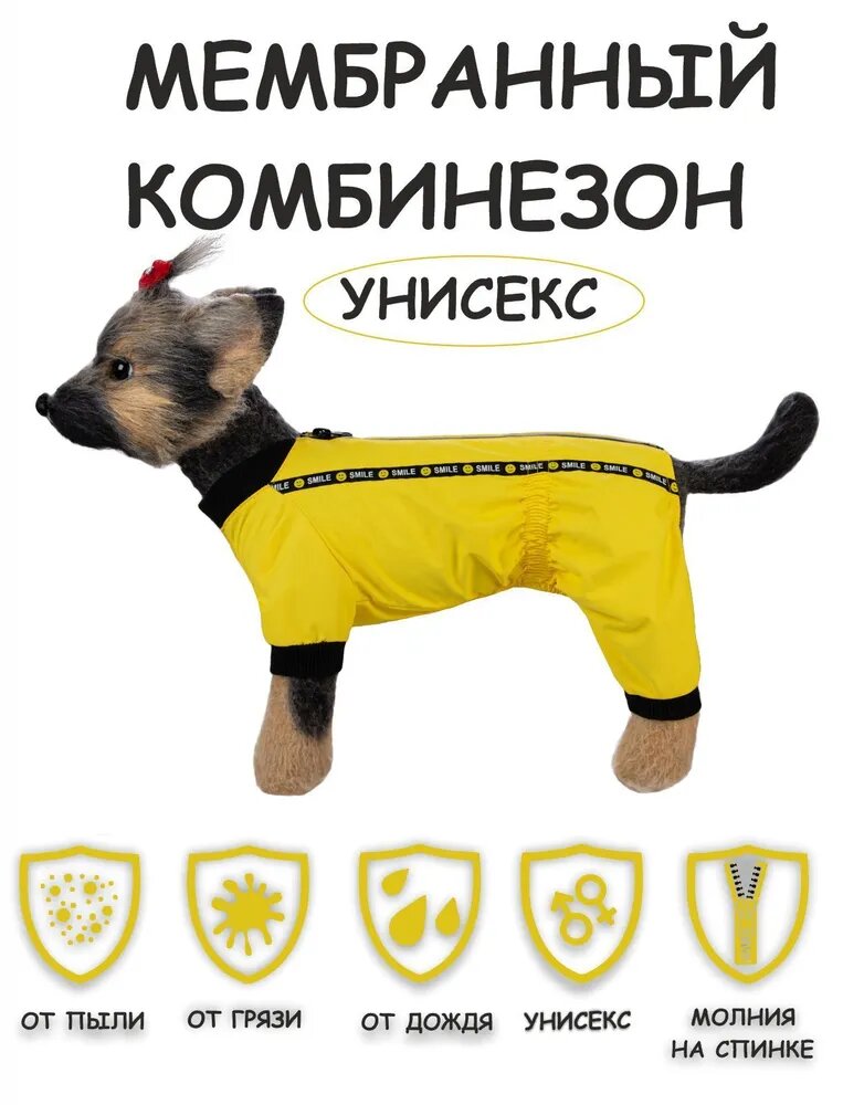 Дождевик мембранный непромокаемый для собак мелких и средних пород, комбинезон для собак