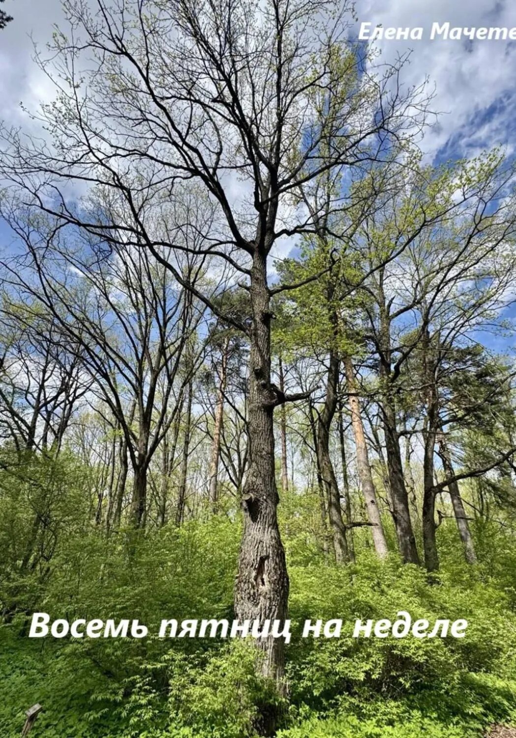 Восемь пятниц на неделе [Цифровая книга]