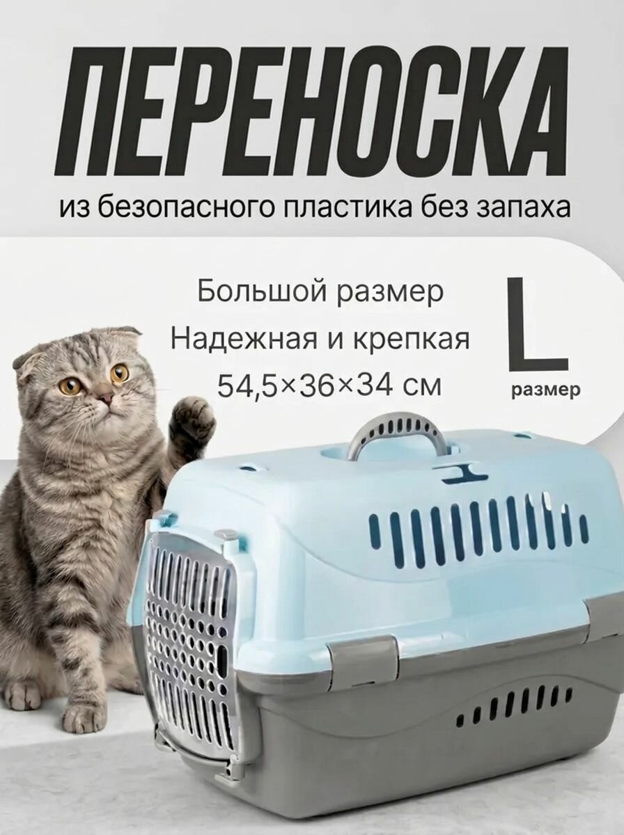 Переноска для кошек пластиковая большая с прозрачной дверцей Голубая