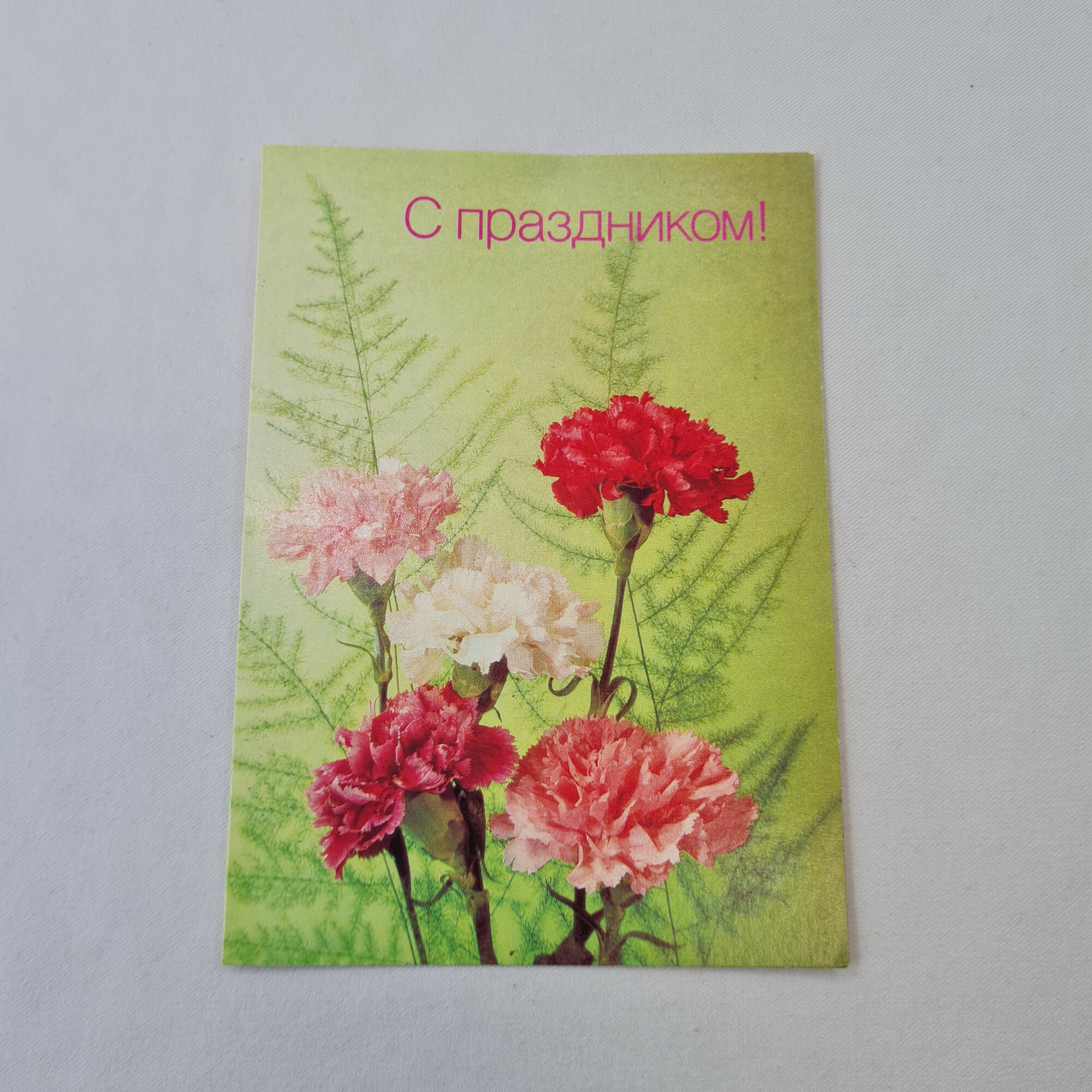 Открытка советская СССР, старинная. С прздником, гвоздики и зелень, цветы, поздравление, винтаж
