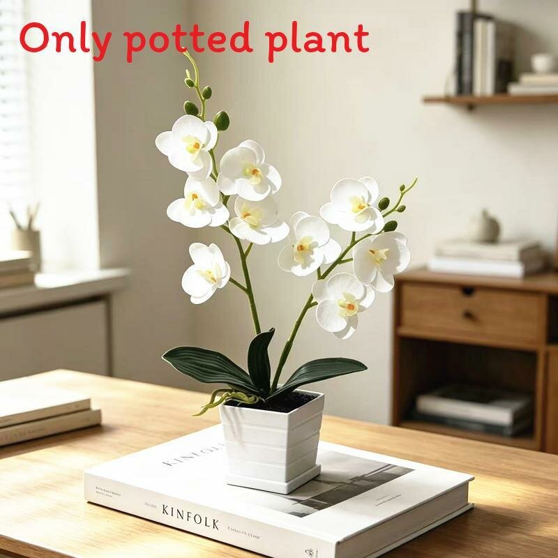 Butterfly orchid line art plant with lightweight plastic for home styling and event decoration styleb