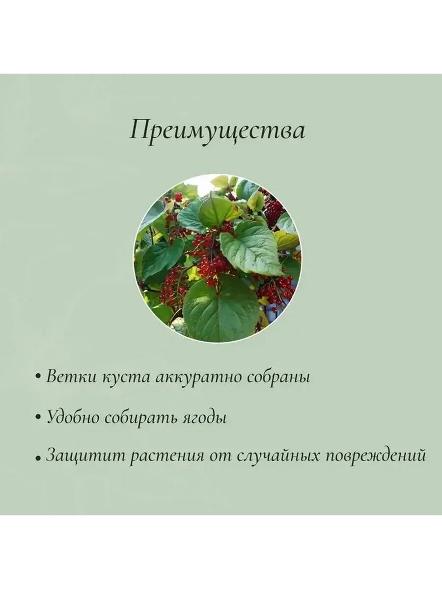 Комплект кустодержателей для садовых растений — фото 1