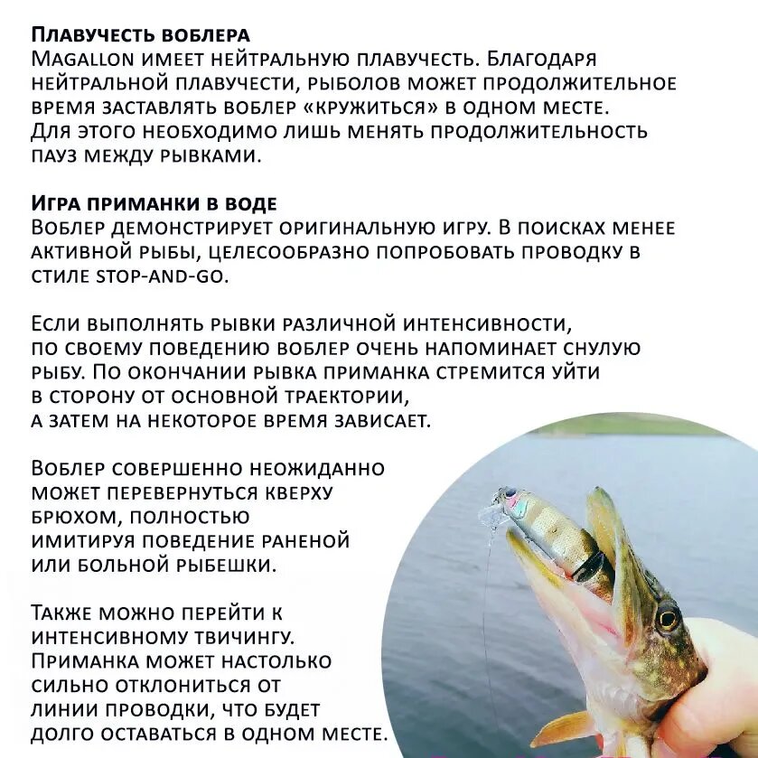 Воблер Bearking Magallon 113 SP, 11.3 см, 13.7 г, заглубление 0.9-1.8 м, цвет X / Желтый, с доп. хвостом — фото 1