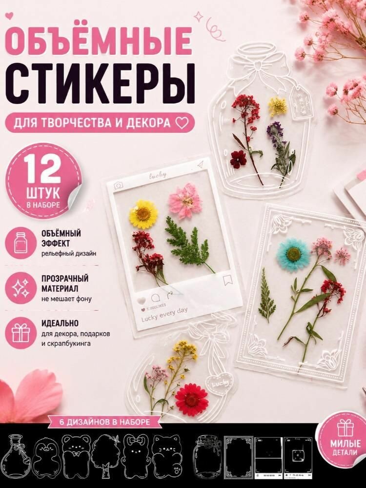 Закладки для гербария, для книг прозрачные, 12шт, ручная работа, сделай сам, сухоцветы для творчества своими руками
