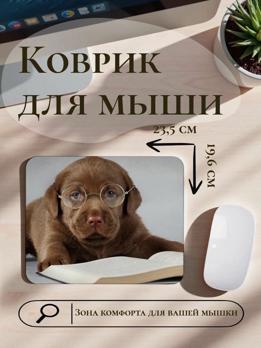 Коврик для мыши щенок лабрадора в очках с книгой