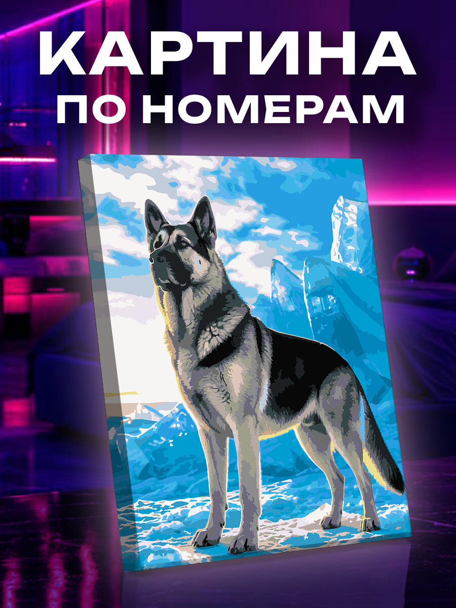 Картина по номерам Овчарка на фоне ледяных торосов