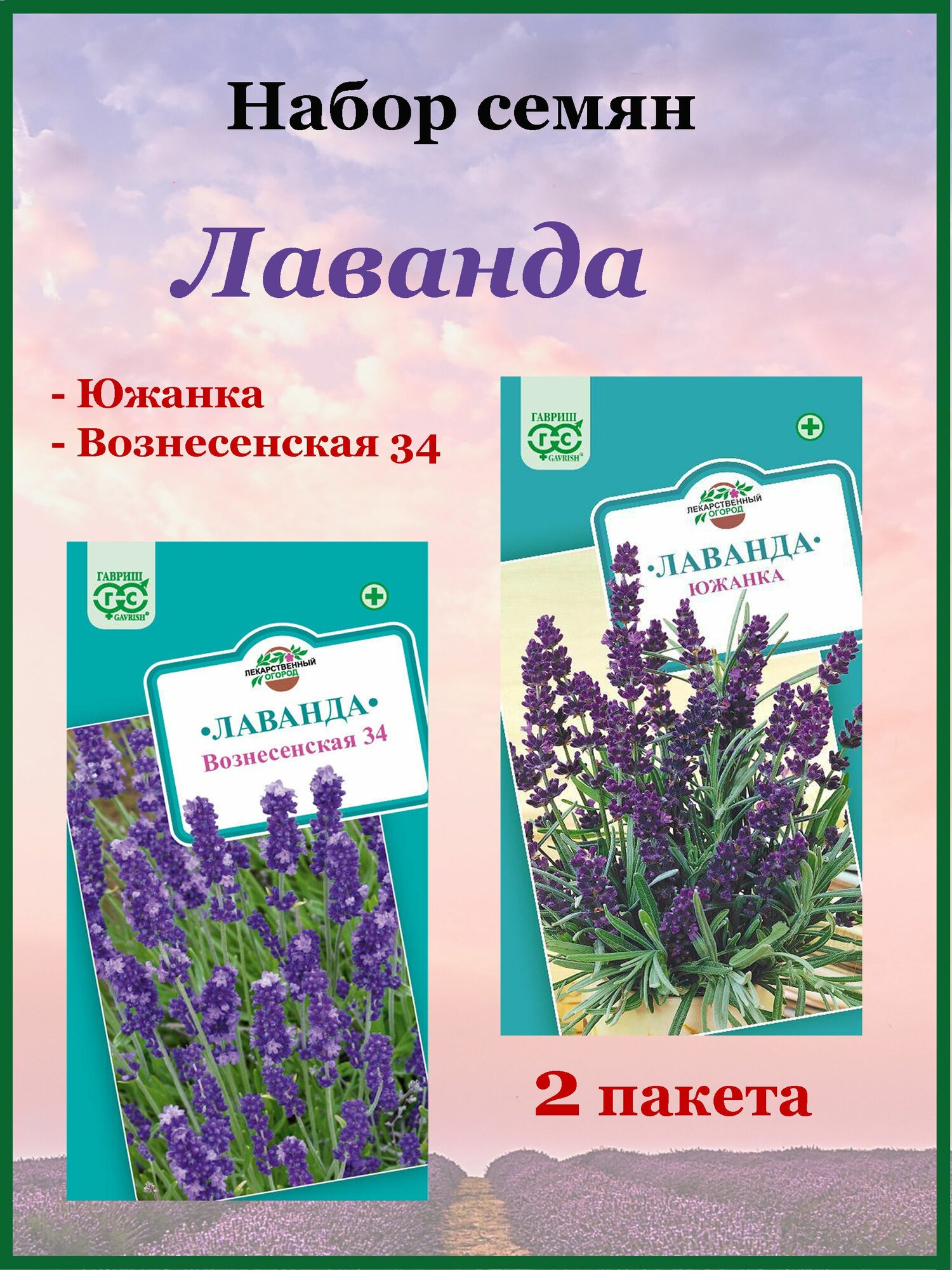 Семена Лаванда Набор №1 (Гавриш) Узколистная 2шт. Вознесенская 34, Южанка Вознесенская 34 Южанка