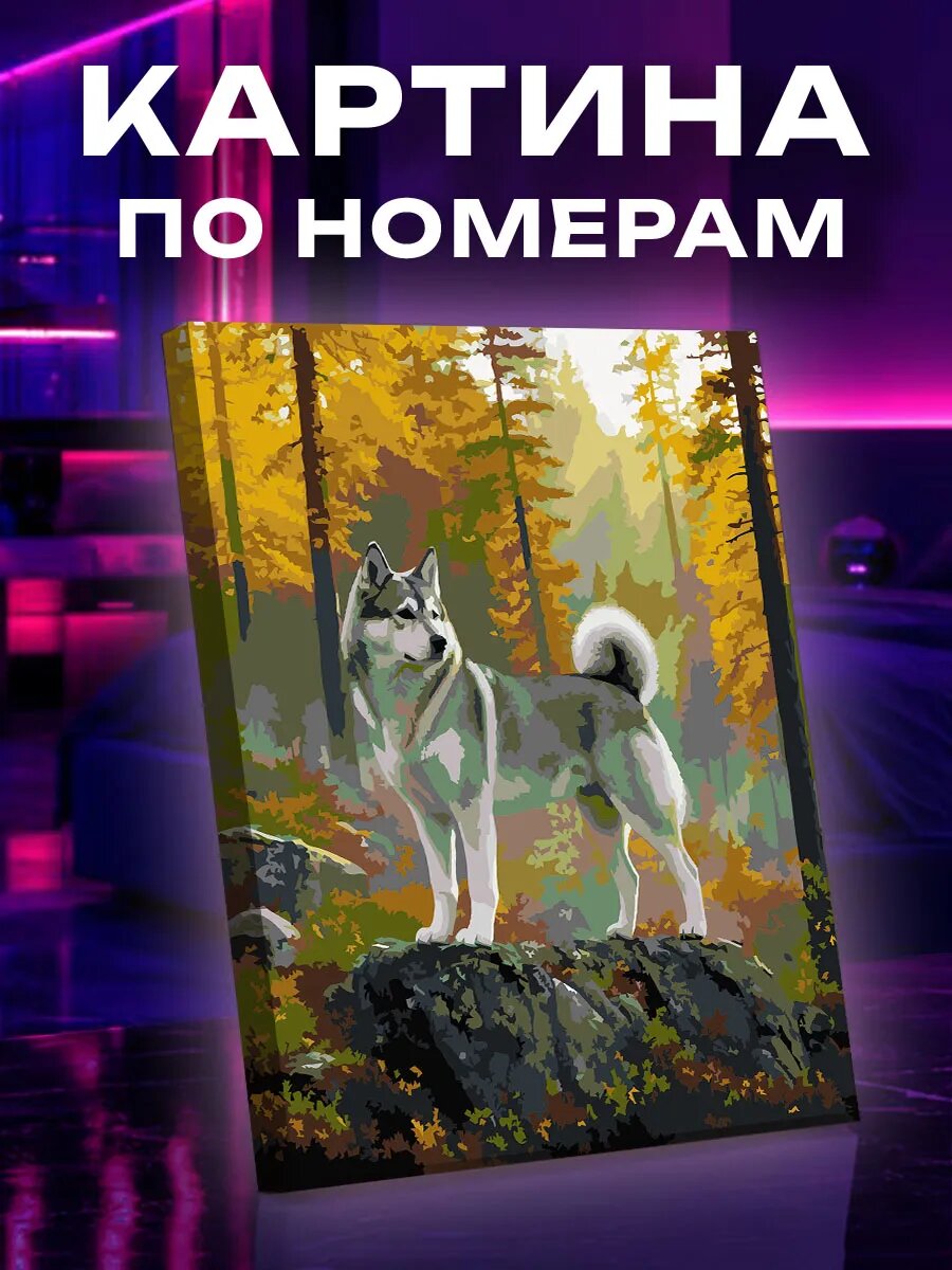 Картина по номерам Лайка над осенней тайгой
