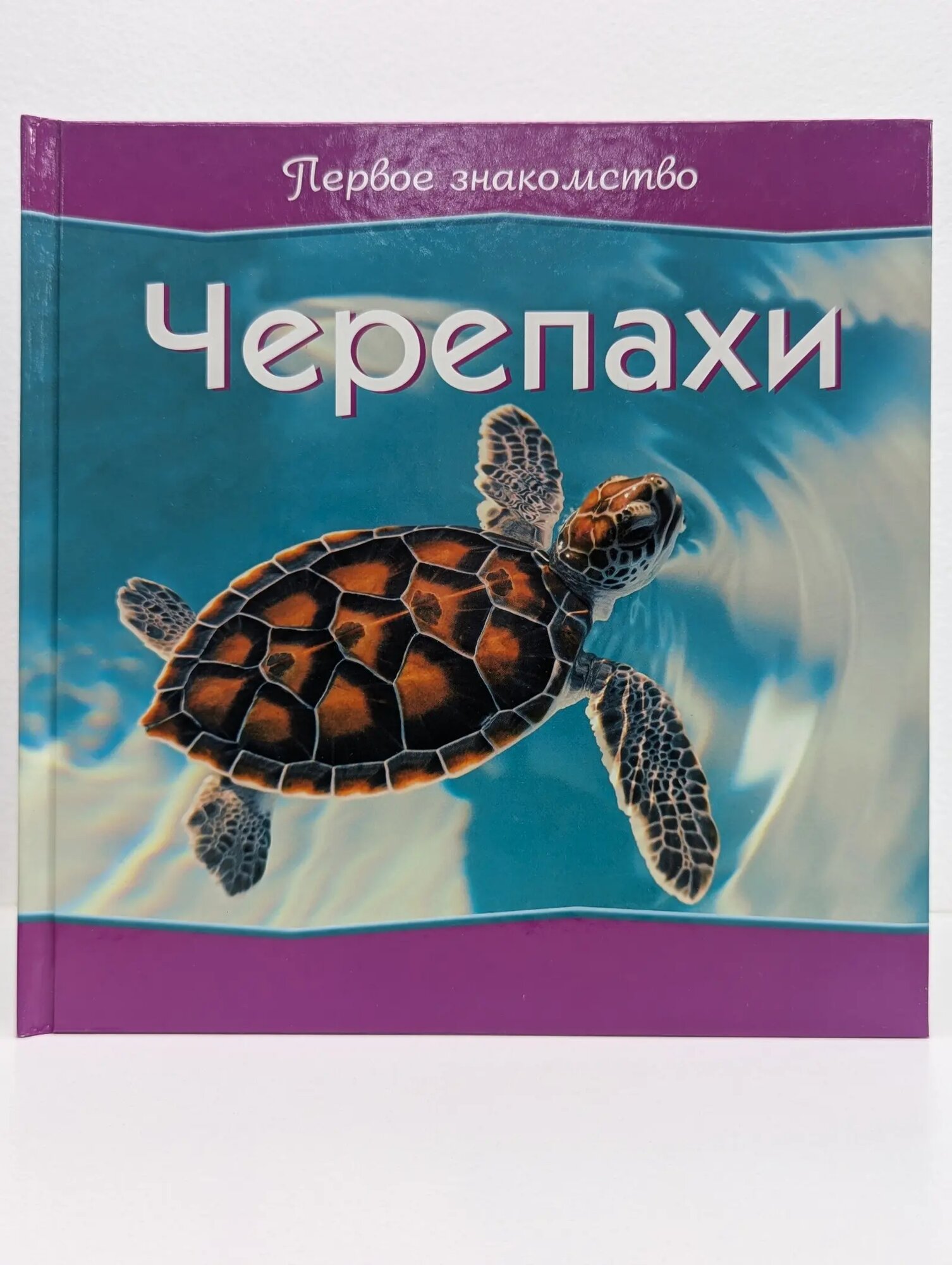 Первое знакомство. Черепахи Уилзон Кристина 2008