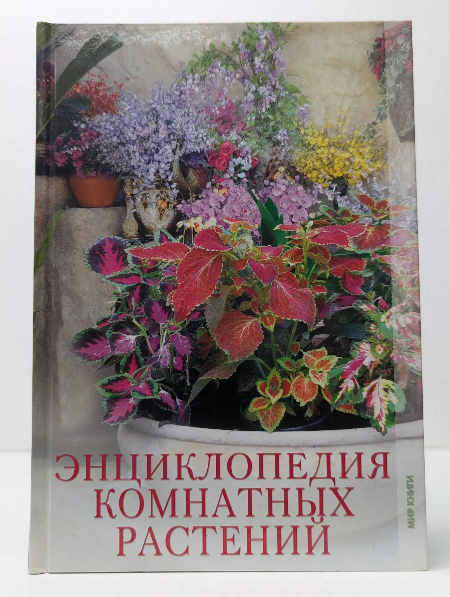 Энциклопедия комнатных растений Степура Анатолий Владимирович, Степура Марина Юрьевна 2010