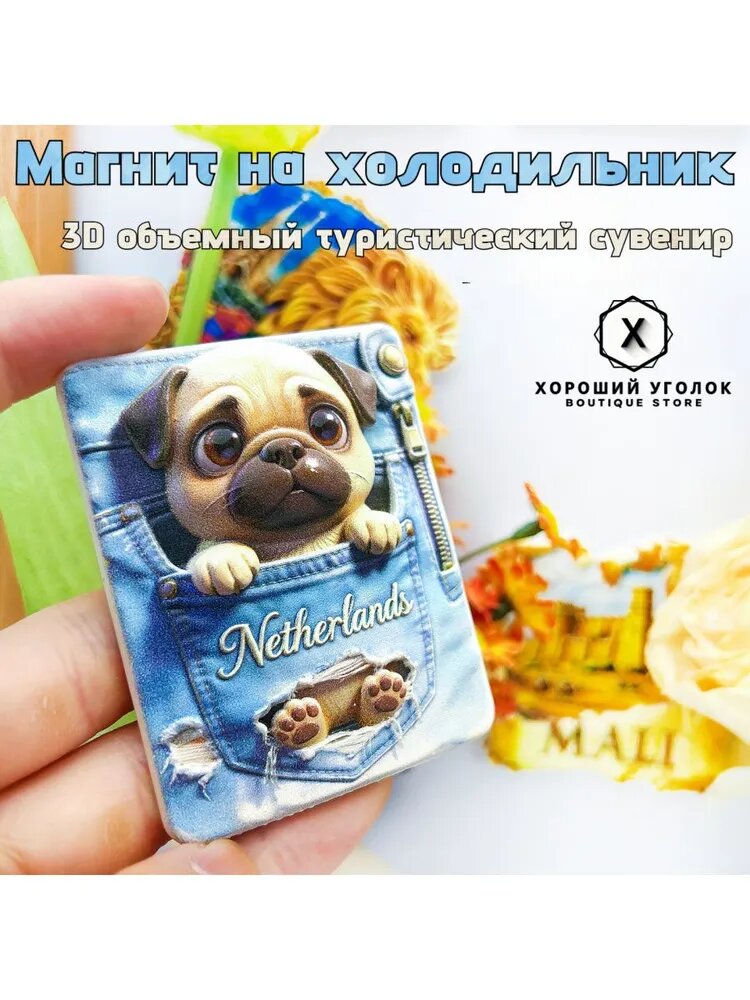Хороший Уголок - Магнит на холодильник "США: КошкаБогатство" 3D объемный сувенир на удачу