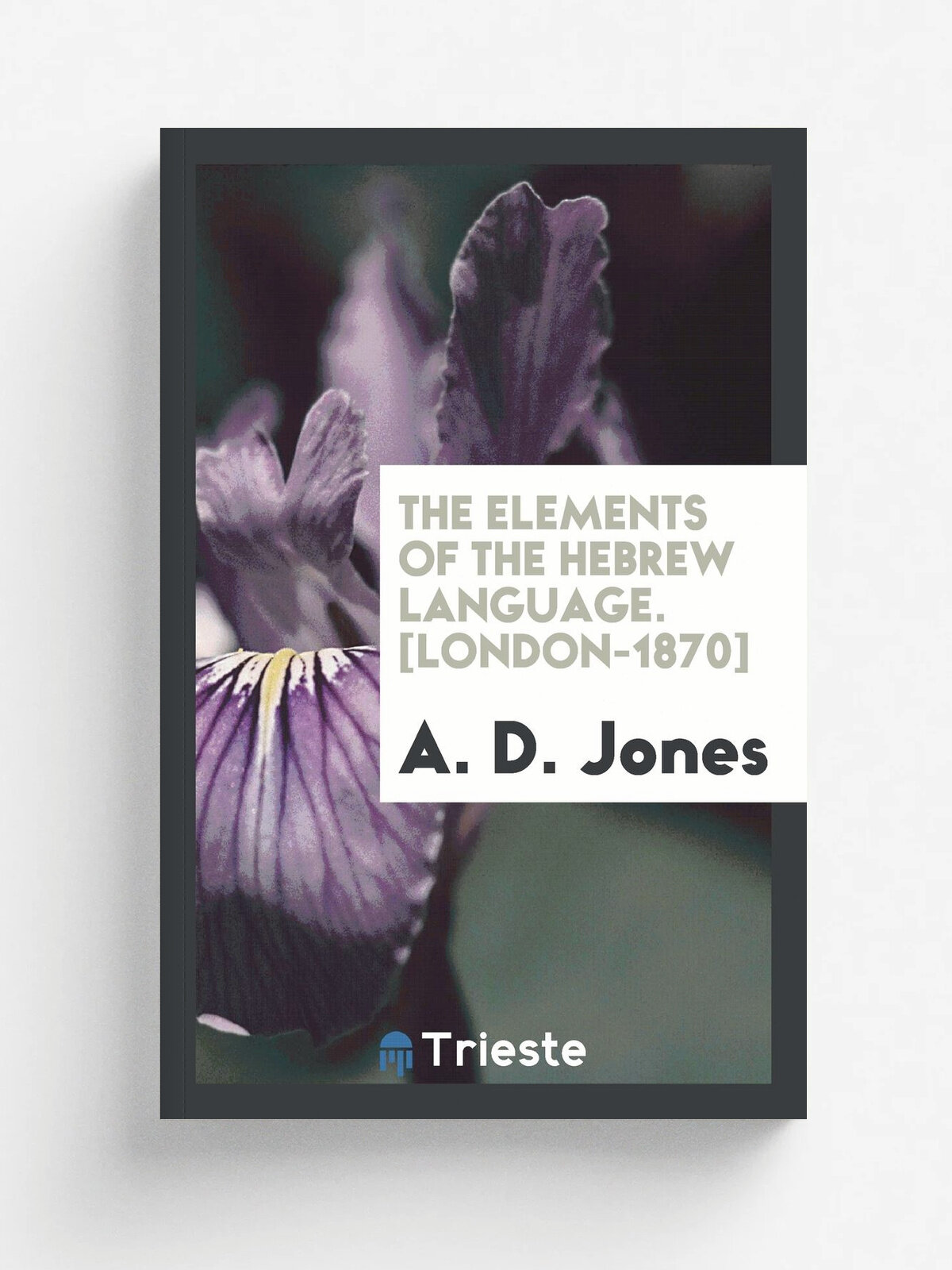 The elements of the Hebrew language