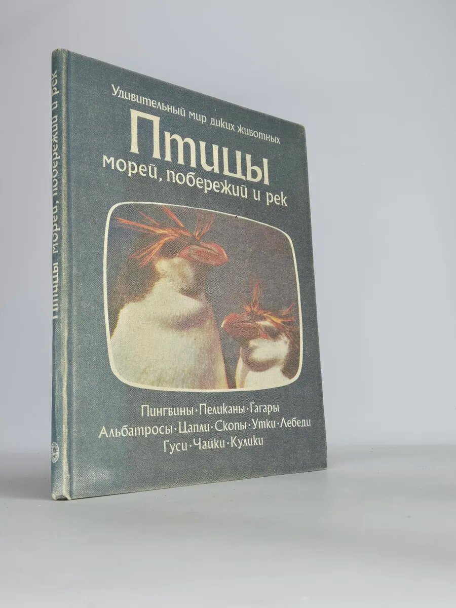 Птицы морей, побережий и рек