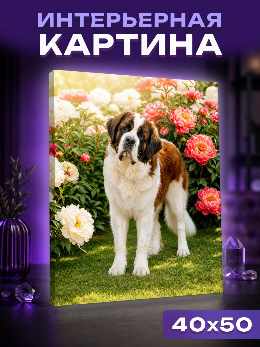 Интерьерная картина Сенбернар среди пионов