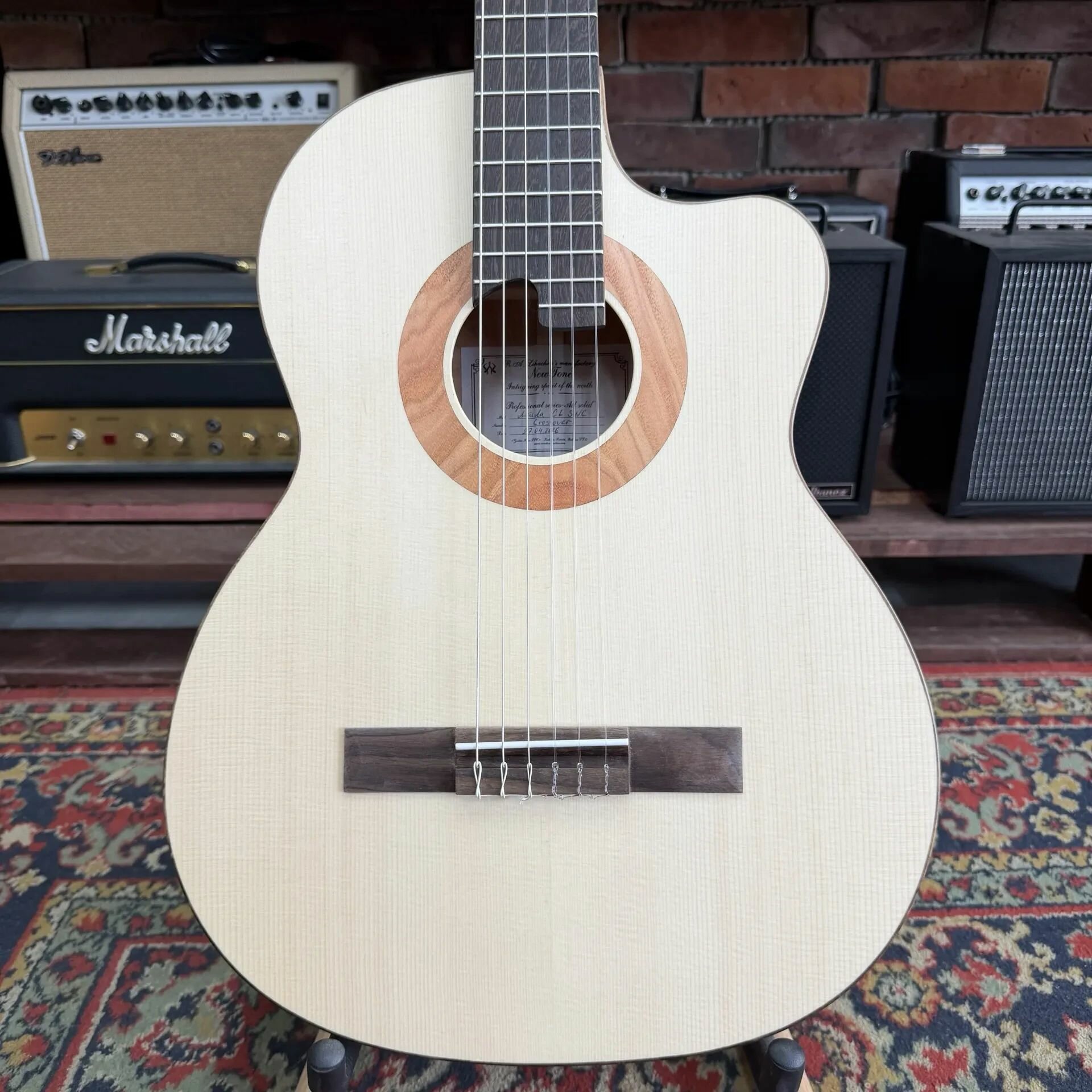 Гитара классическая NEW TONE лейла CL S N C 50