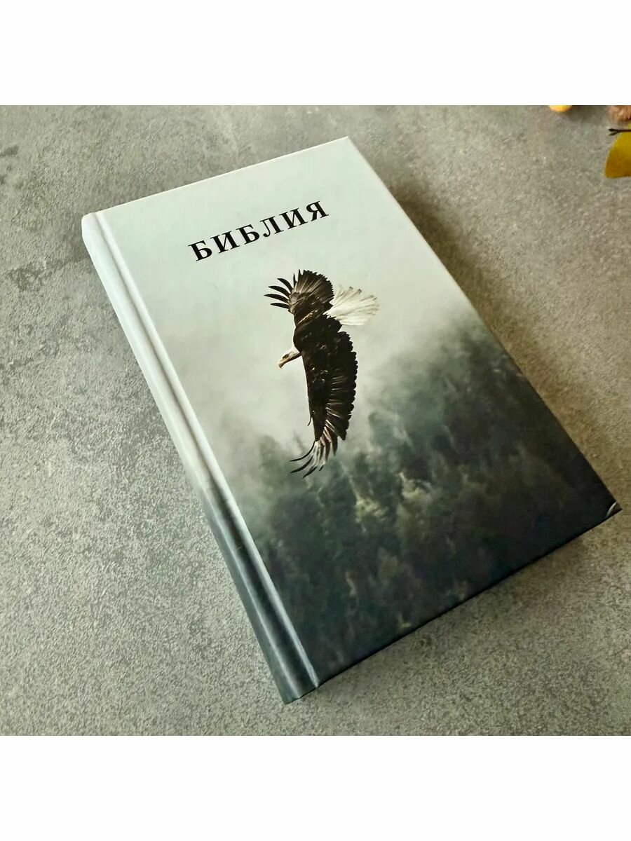 Библия 048 код 25048-55, твердый переплет, цветная печать"Орел"
