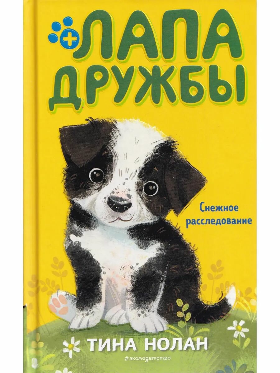 Снежное расследование