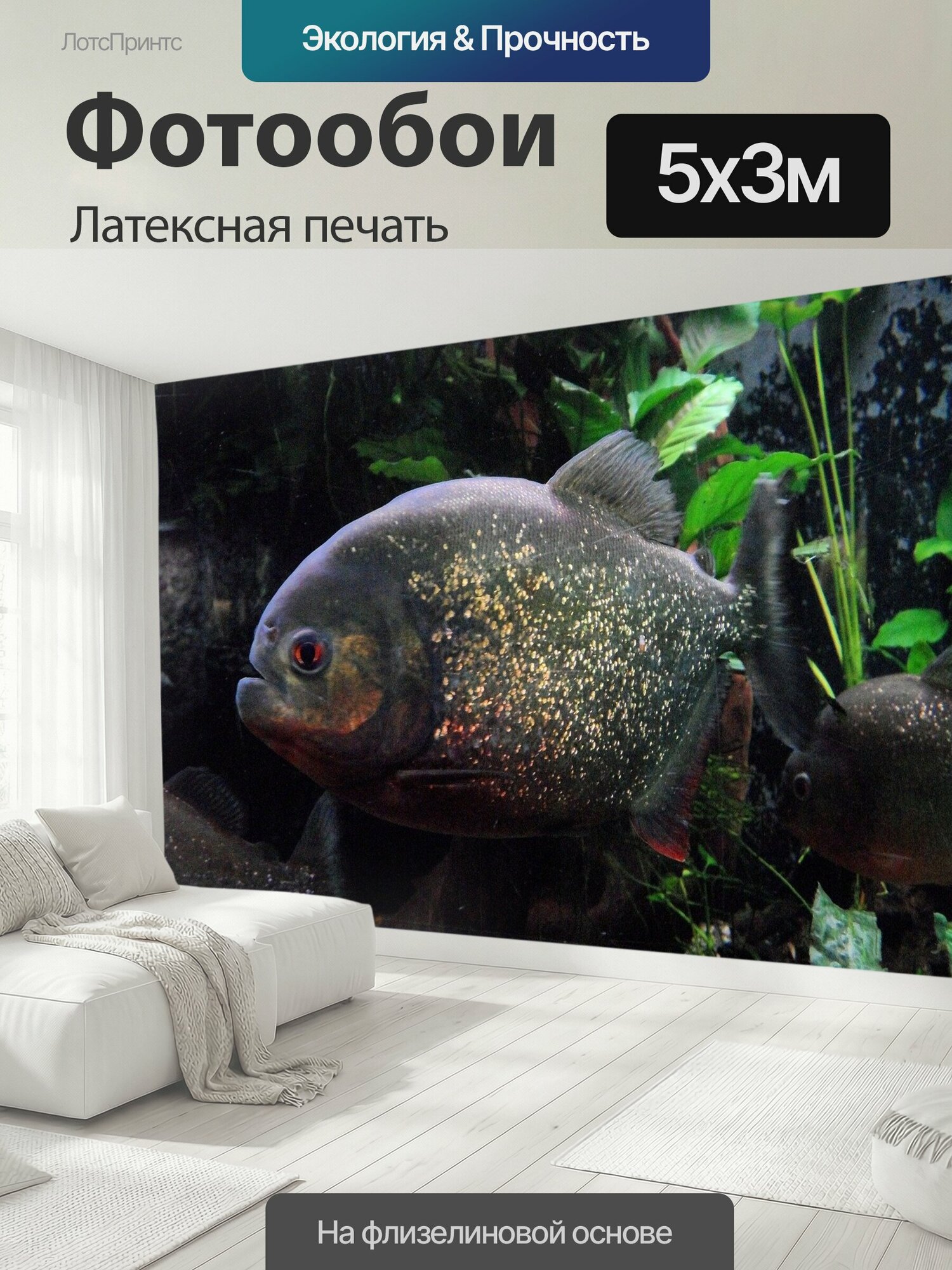 Фотообои моющиеся ударопрочные "Пиранья, аквариум, зоопарк" 500x300 см. латексная печать