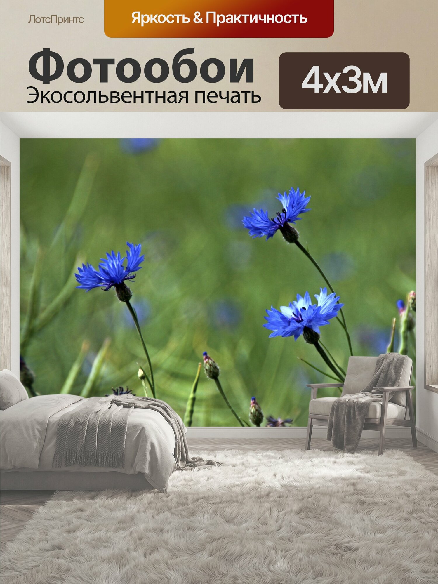 Фотообои "Васильки, цвести, синий" 400x300 см. экосольвентная печать