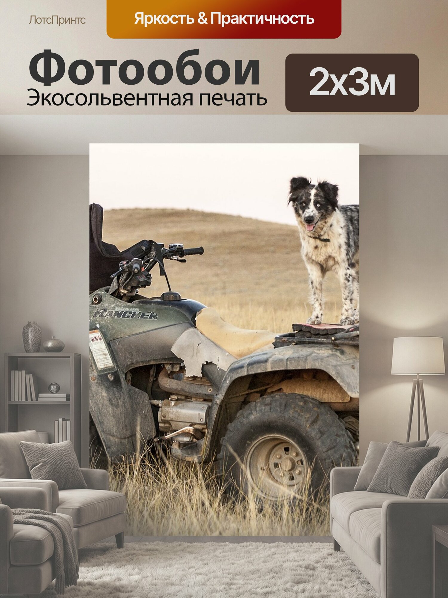 Фотообои "Квадроцикл, собаки, четыре уилер" 200x300 см. экосольвентная печать