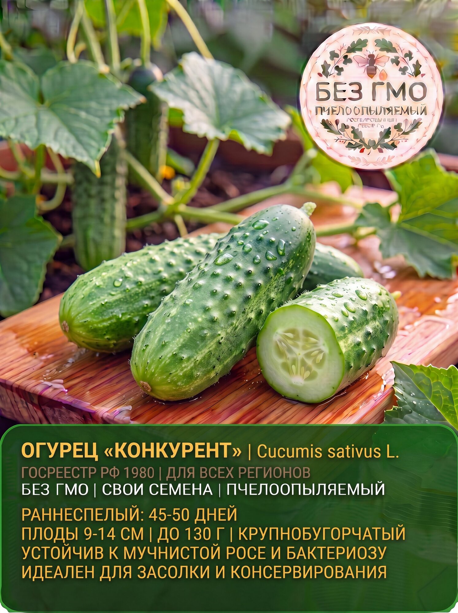 Семена Огурец 'Конкурент' Cucumis sativus Госреестр 1980 Раннеспелый 45-50 дн без ГМО 0,2 г