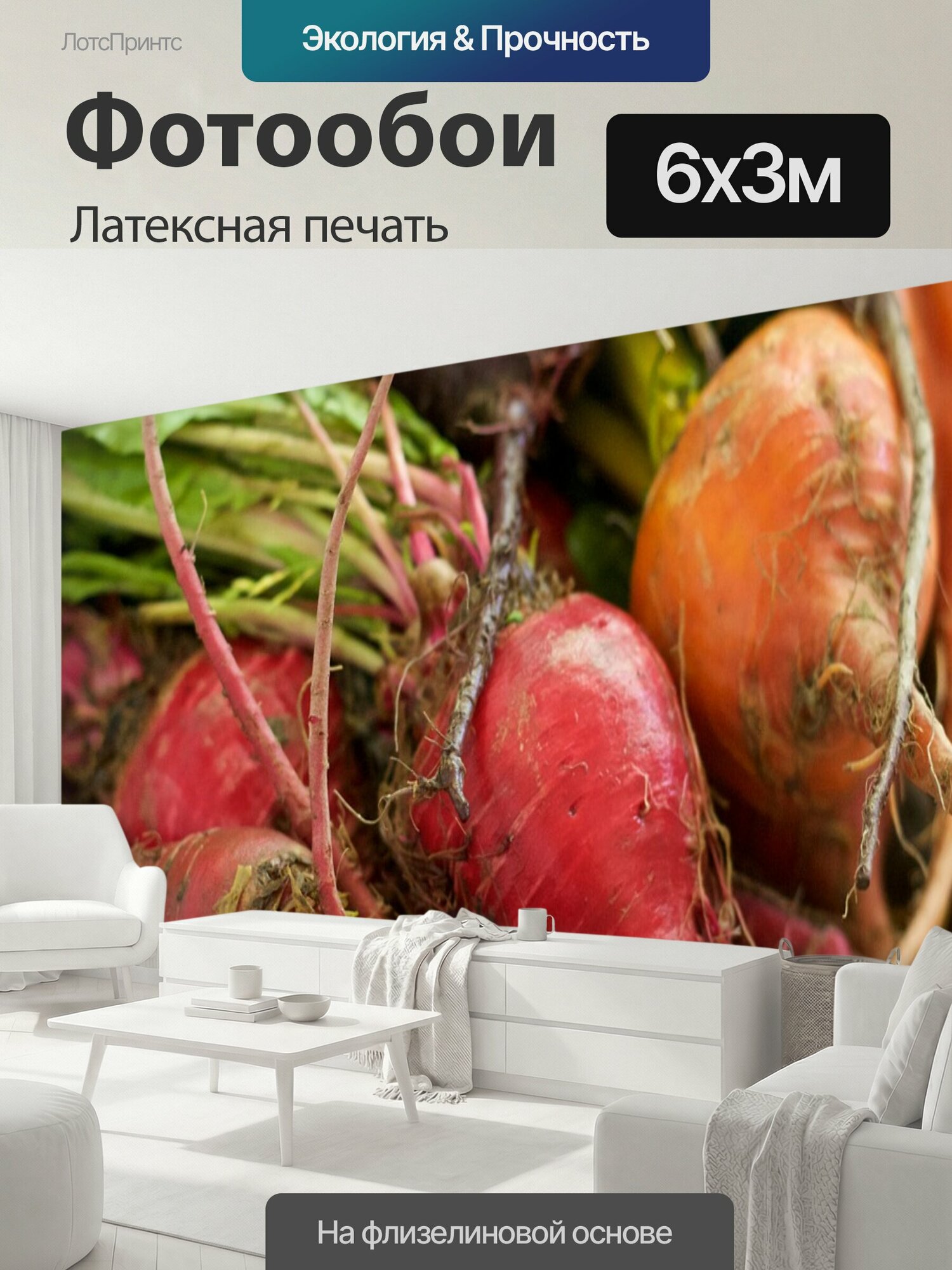 Фотообои моющиеся ударопрочные "Свекла, зелень, овощ" 600x300 см. латексная печать