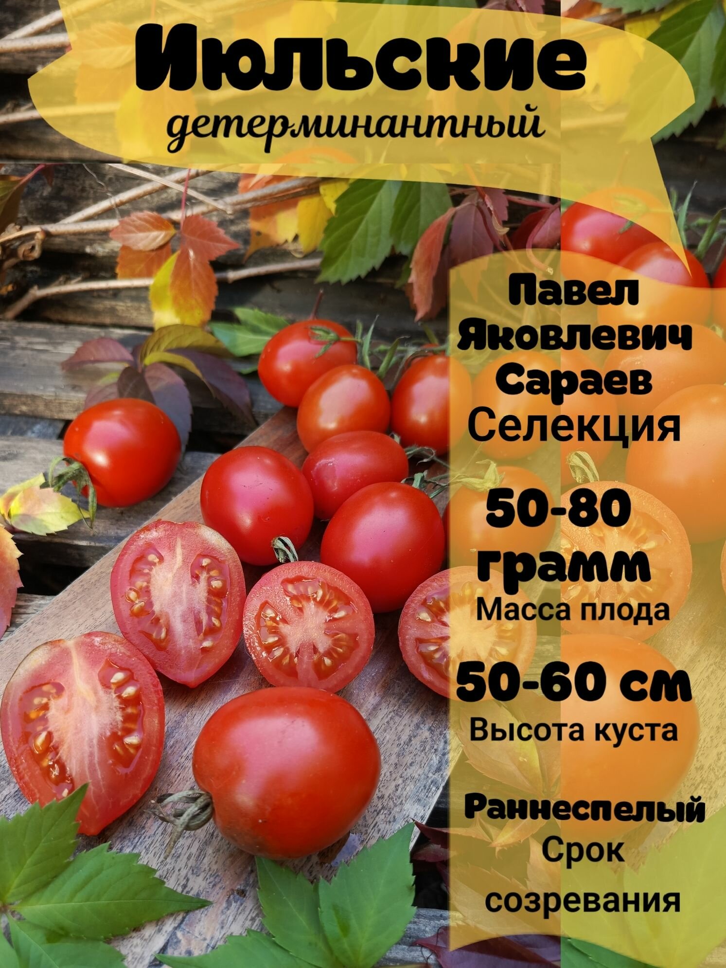 Томат "Июльские", селекция П. Я. Сараева, томаты из СССР